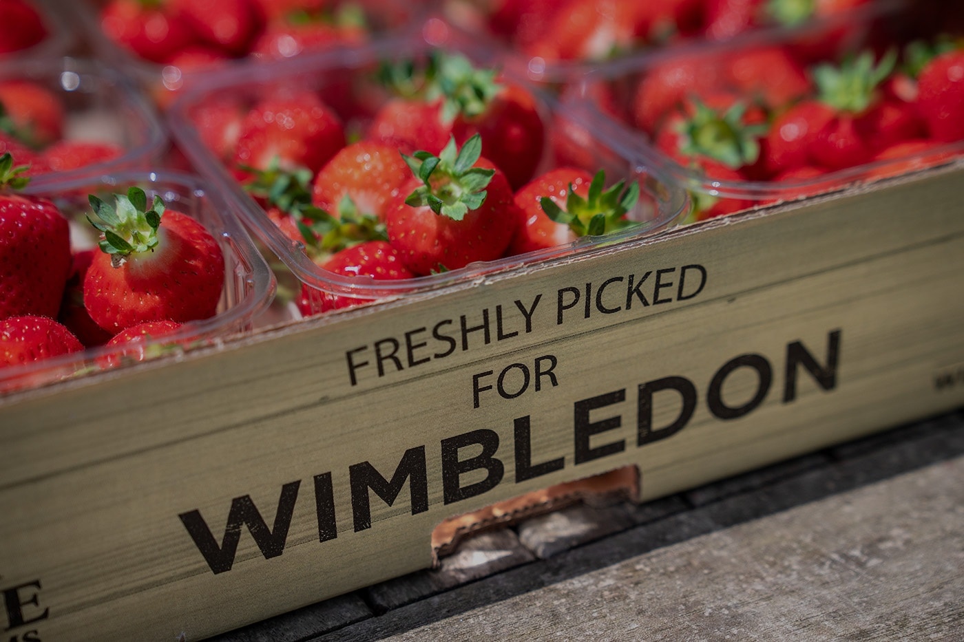 From Wimbledon-designated strawberry plants to match balls: The ...