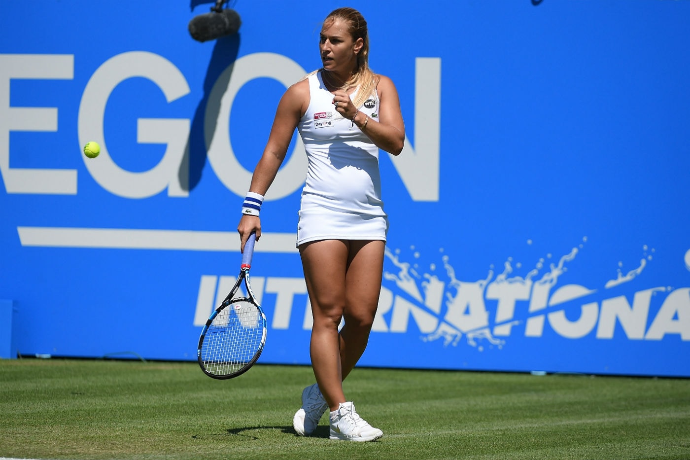 Dominika Cibulkova Status - The Championships, Wimbledon - Official ...