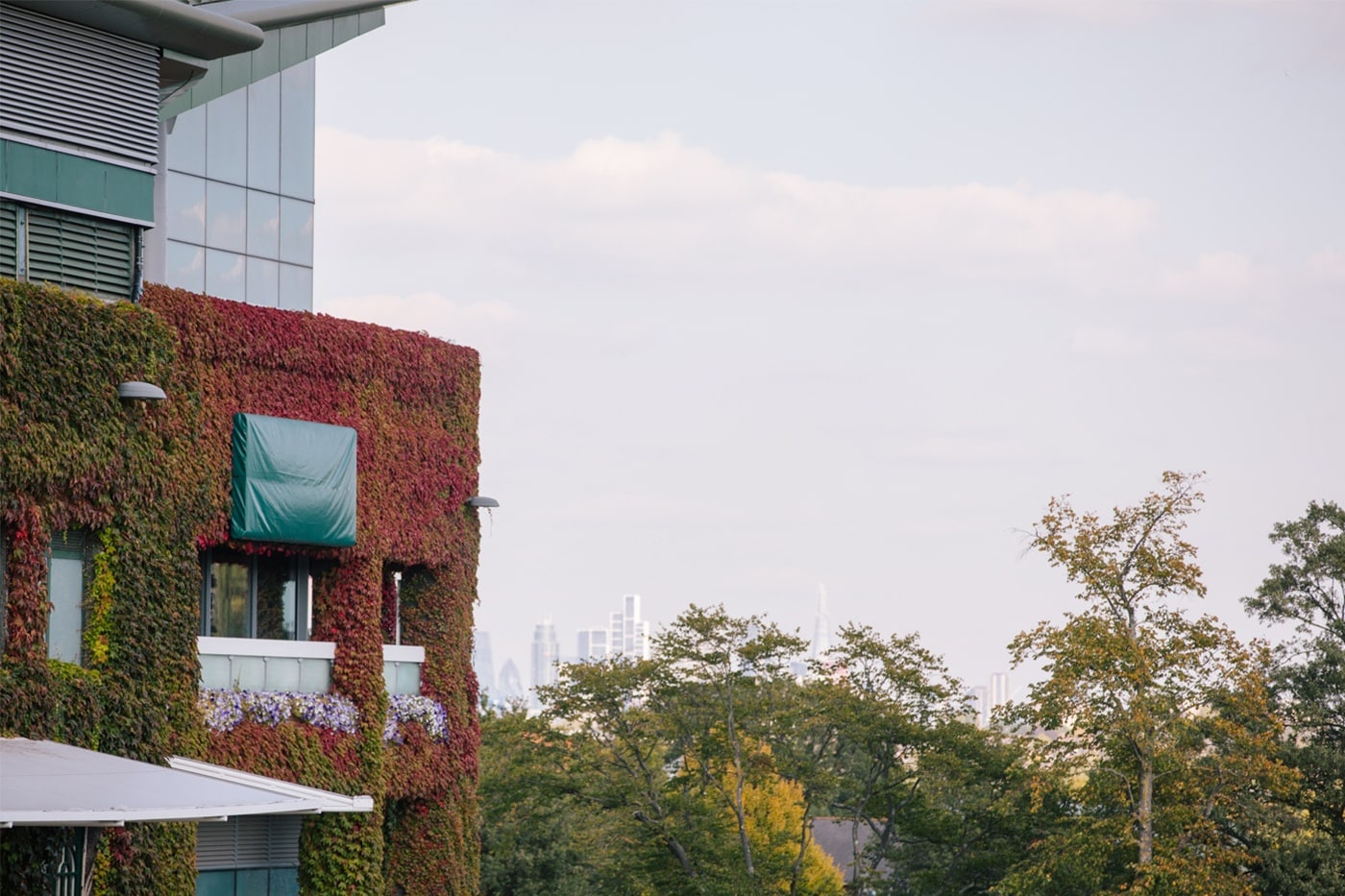 Autumn at Wimbledon - The Championships, Wimbledon - Official Site by IBM