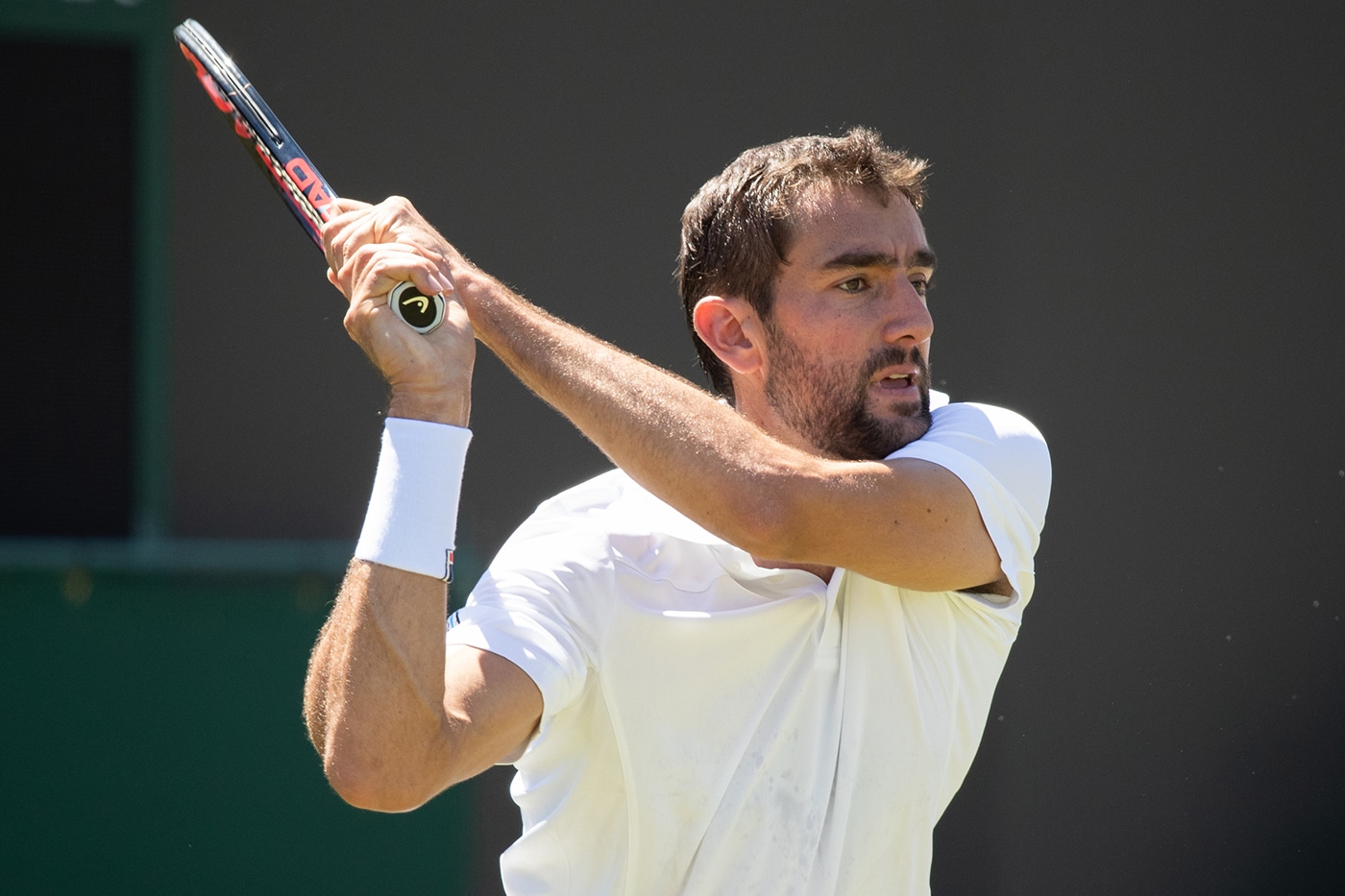 Marin Cilic - The Championships, Wimbledon - Official Site by IBM