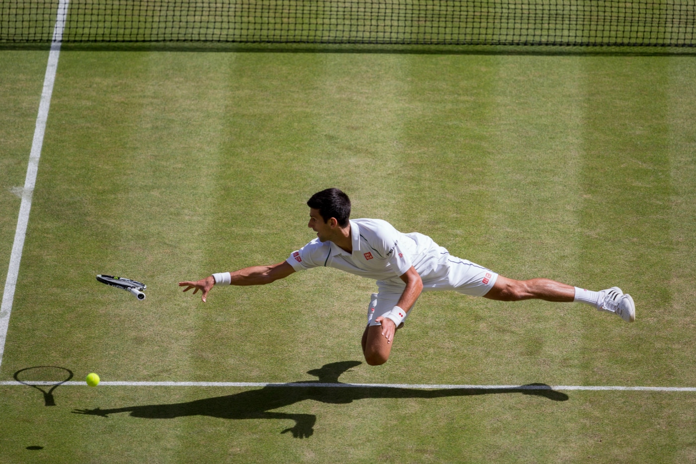 Novak Djokovic - The Championships, Wimbledon - Official Site by IBM