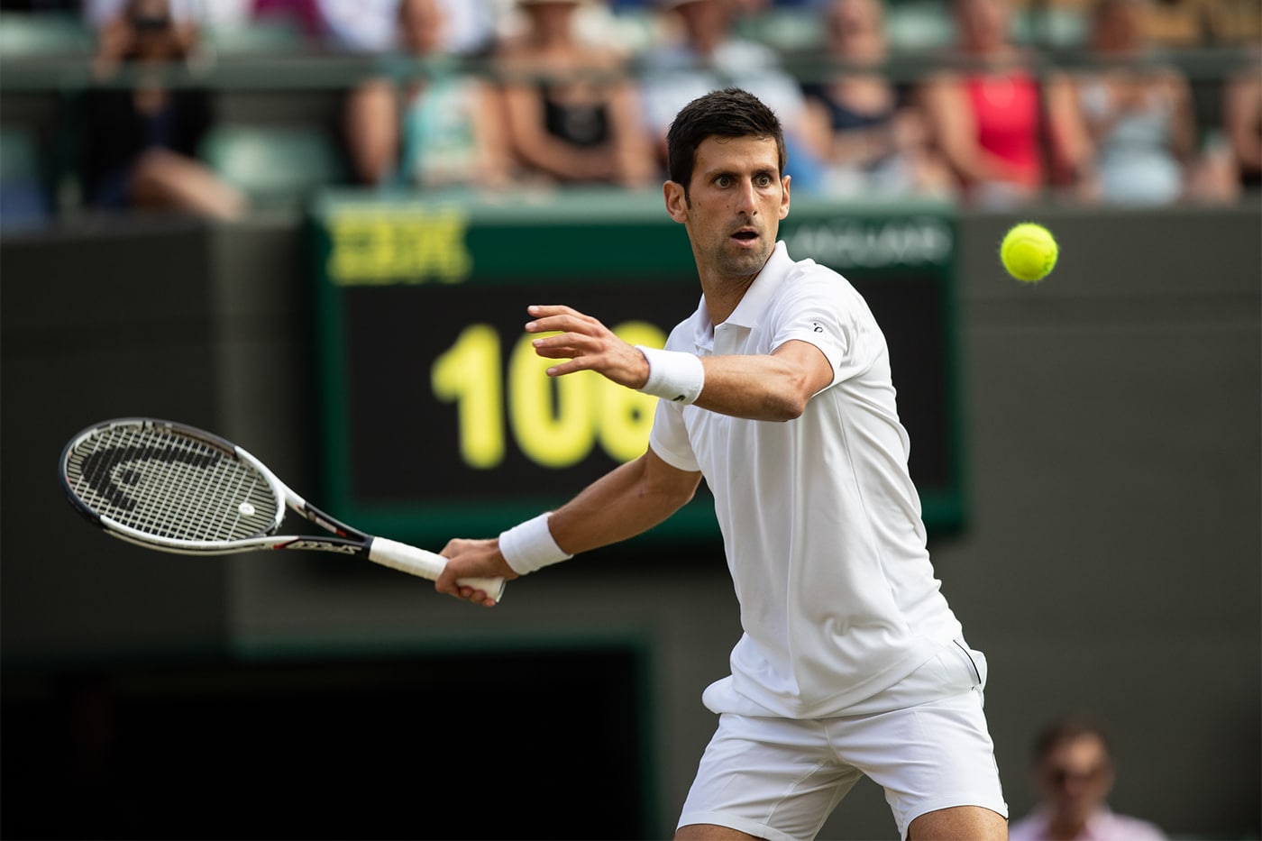 Novak Djokovic - The Championships, Wimbledon - Official Site by IBM