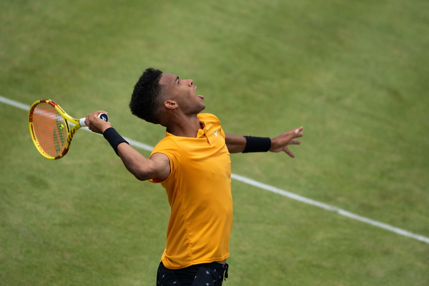 Countdown to Wimbledon: Felix Auger-Aliassime - The Championships, Wimbledon - Official Site by IBM