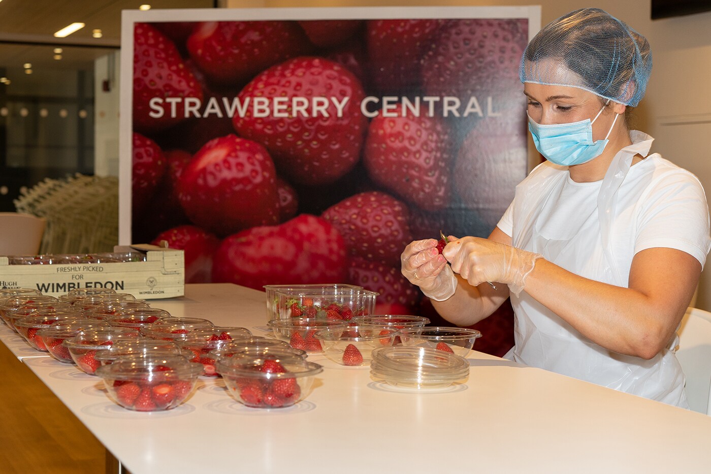 - The Championships, Wimbledon - Official Site by IBM