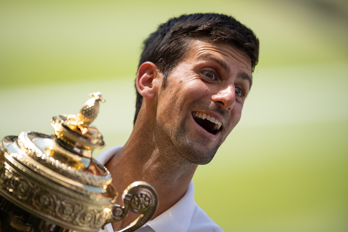 Novak Djokovic, Picture of the Day - The Championships, Wimbledon ...