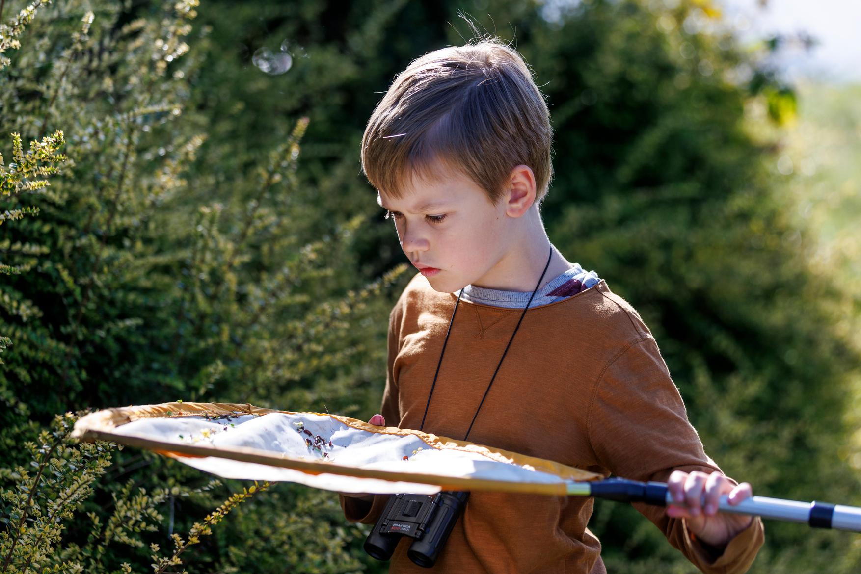 Wimbledon Community and Neighbours - The Championships, Wimbledon ...